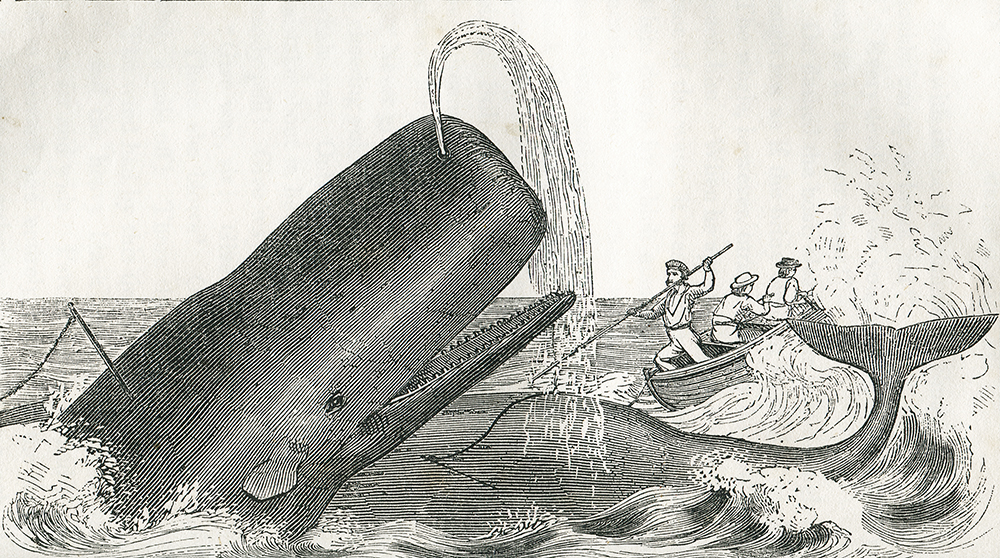 Chapter 56: Of the Less Erroneous Pictures of Whales, and the True ...